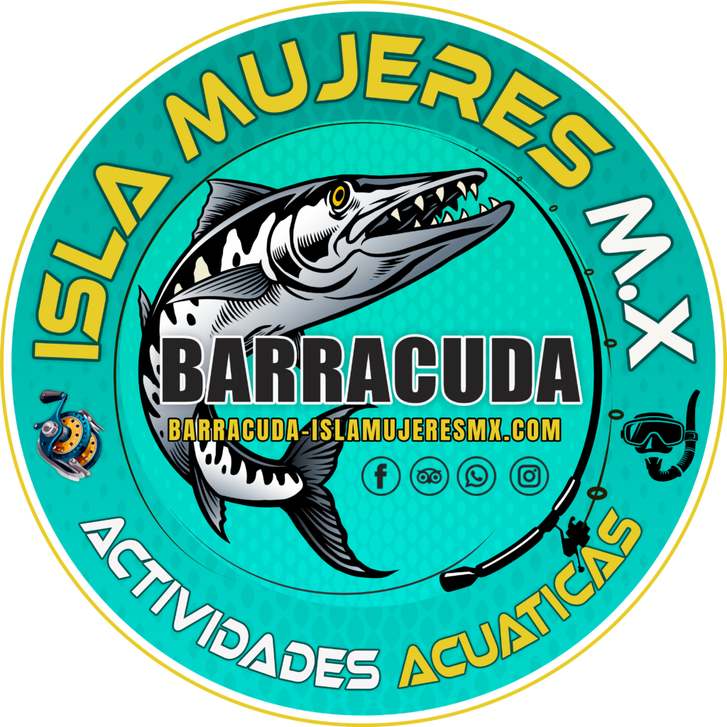 BARRACUDA TEAM – Barracuda-IslamujeresMX